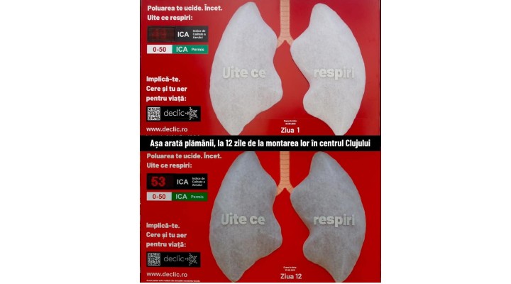 „Plămânii care respiră la Cluj” s-au înnegrit după doar 12 zile de la ...